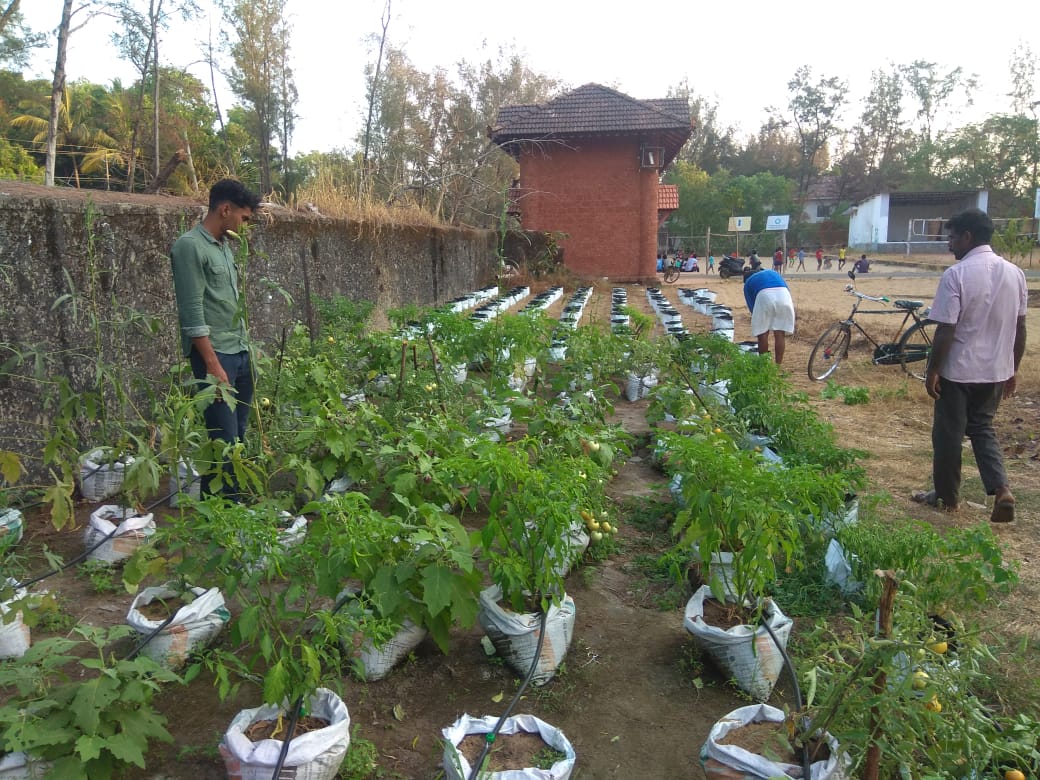 Green Initiatives for a sustainable community – TMG College Tirur